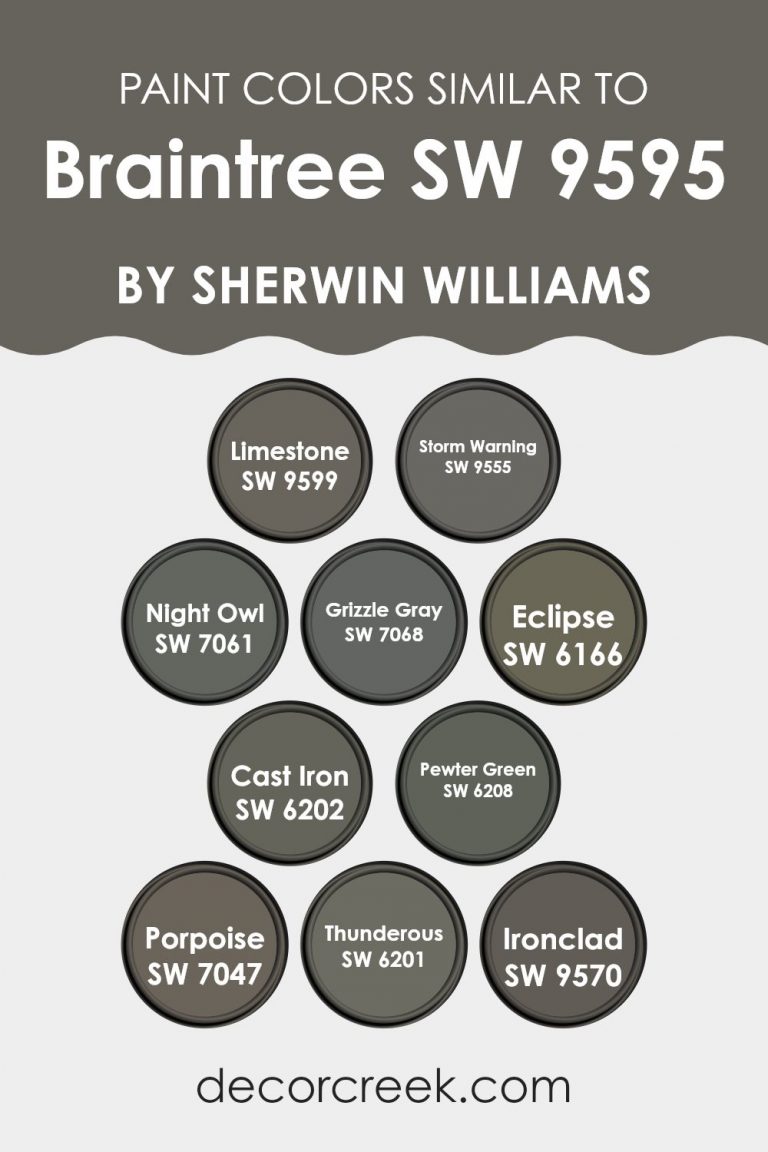 Braintree SW 9595 Paint Color by Sherwin Williams - DecorCreek