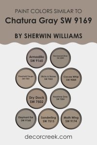 Chatura Gray SW 9169 Paint Color by Sherwin Williams - DecorCreek