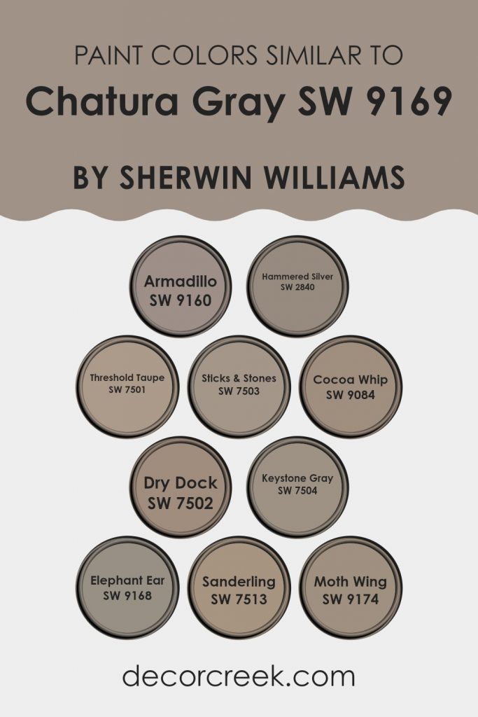 Chatura Gray SW 9169 Paint Color by Sherwin Williams - DecorCreek