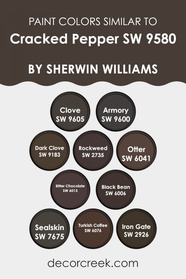 Cracked Pepper SW 9580 Paint Color by Sherwin Williams - DecorCreek