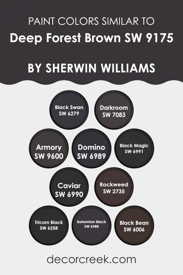Deep Forest Brown SW 9175 Paint Color by Sherwin Williams - DecorCreek
