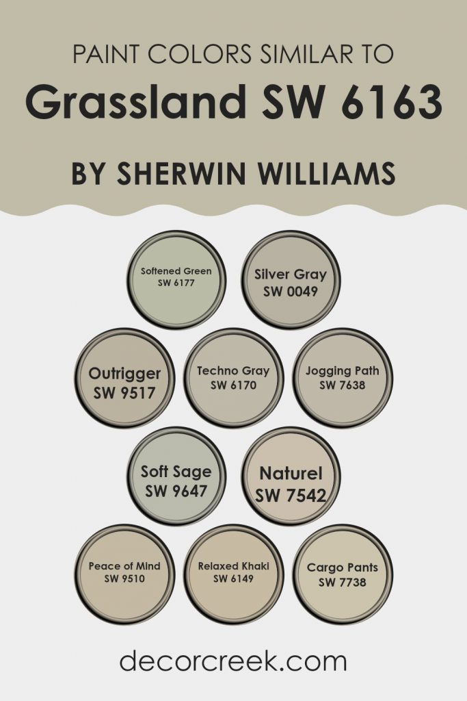 Grassland SW 6163 Paint Color by Sherwin Williams - DecorCreek