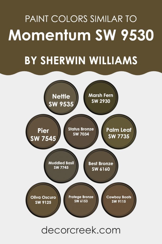 Momentum SW 9530 Paint Color by Sherwin Williams - DecorCreek