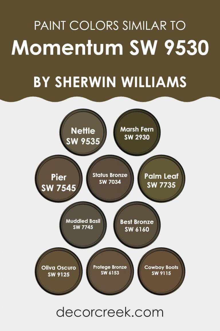 Momentum SW 9530 Paint Color by Sherwin Williams - DecorCreek