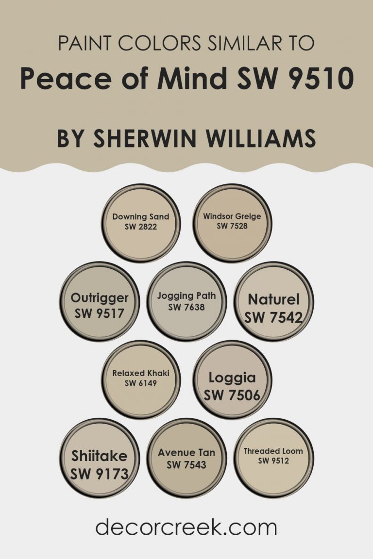 Peace of Mind SW 9510 Paint Color by Sherwin Williams - DecorCreek