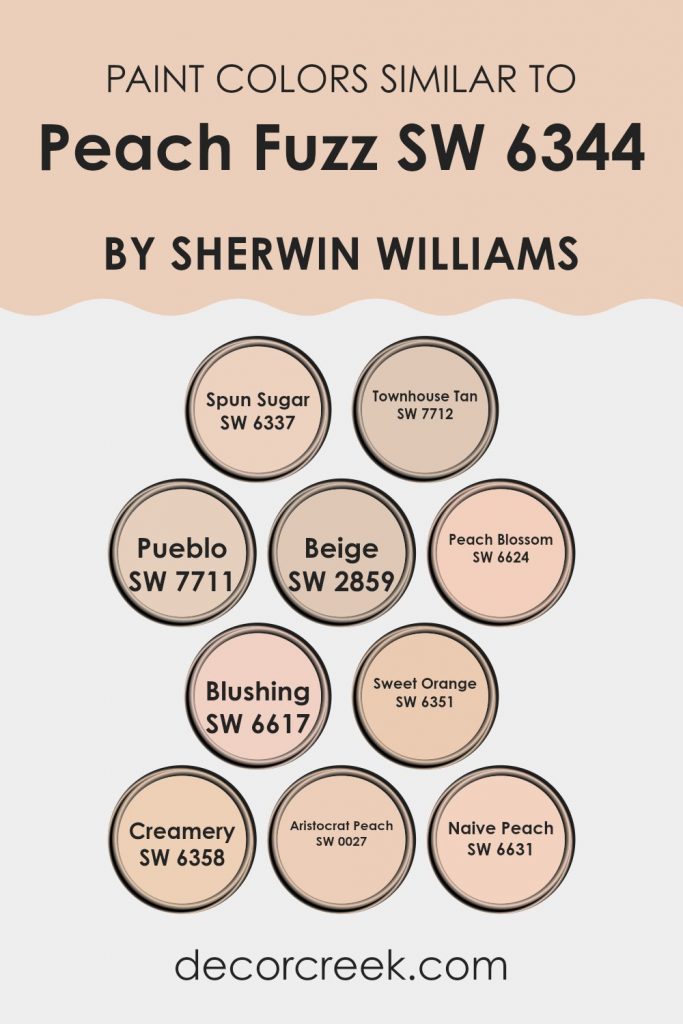 Peach Fuzz SW 6344 Paint Color by Sherwin Williams - DecorCreek