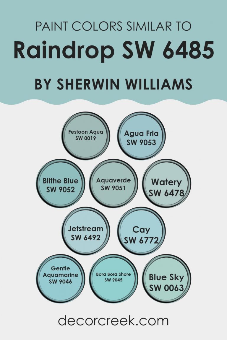 Raindrop SW 6485 Paint Color by Sherwin Williams - DecorCreek
