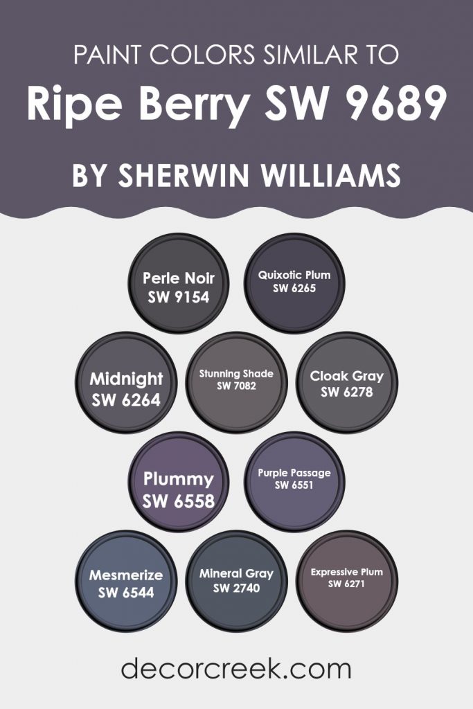 Ripe Berry SW 9689 Paint Color by Sherwin Williams - DecorCreek