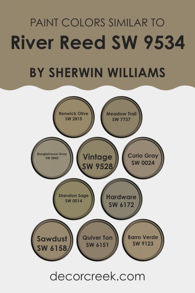 River Reed SW 9534 Paint Color by Sherwin Williams - DecorCreek
