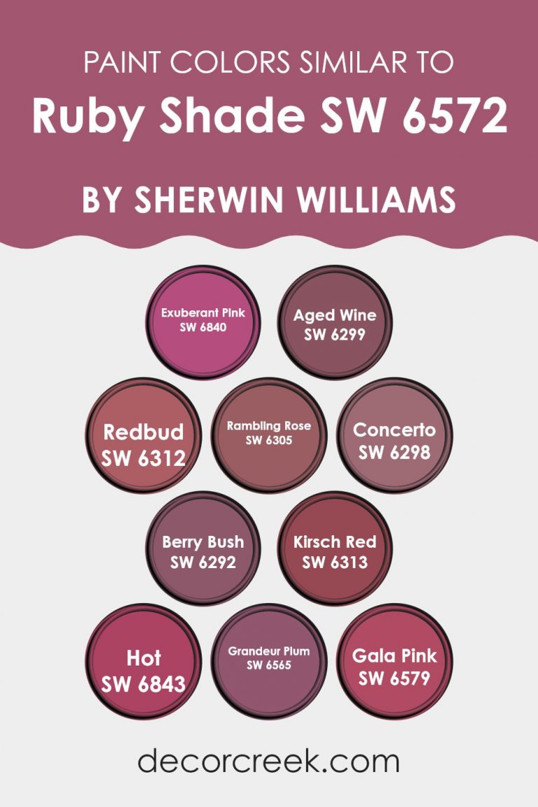 Ruby Shade SW 6572 Paint Color by Sherwin Williams - DecorCreek