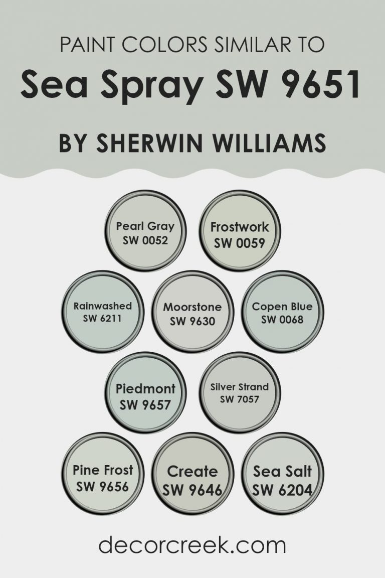 Sea Spray SW 9651 Paint Color by Sherwin Williams - DecorCreek