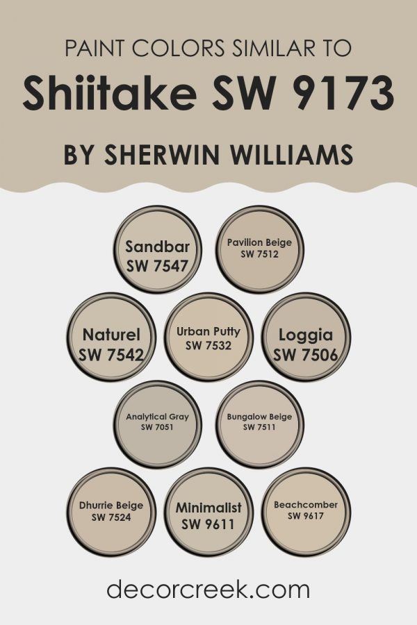 Shiitake SW 9173 Paint Color by Sherwin Williams - DecorCreek