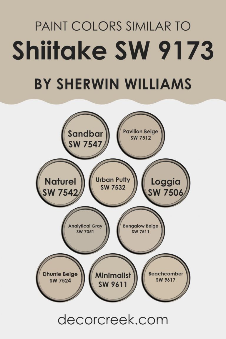 Shiitake SW 9173 Paint Color by Sherwin Williams - DecorCreek
