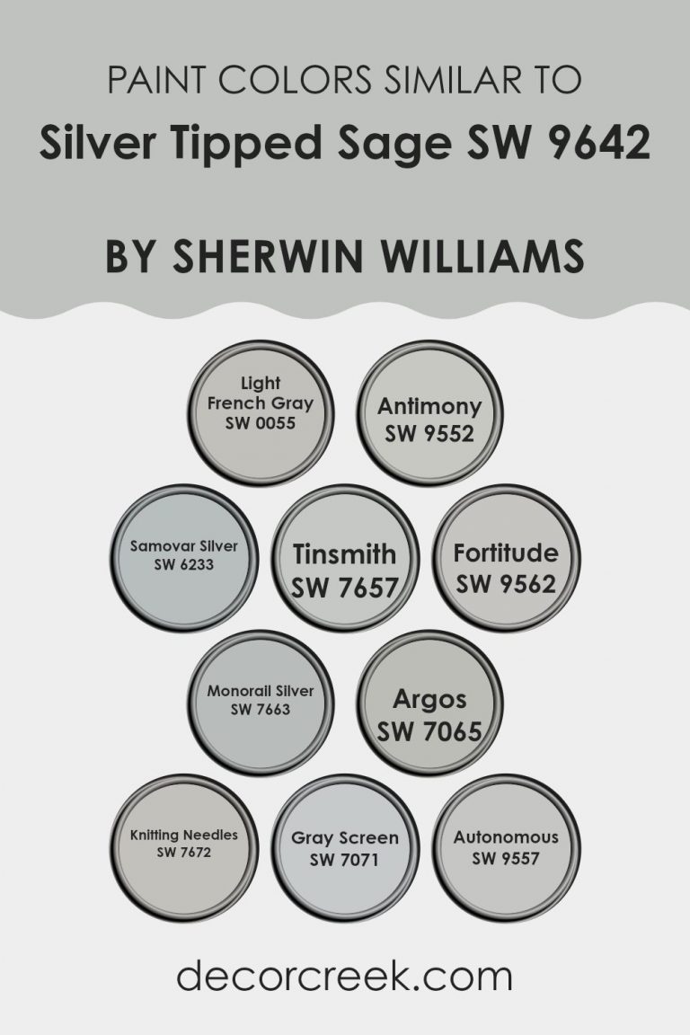 Silver Tipped Sage SW 9642 Paint Color by Sherwin Williams - DecorCreek
