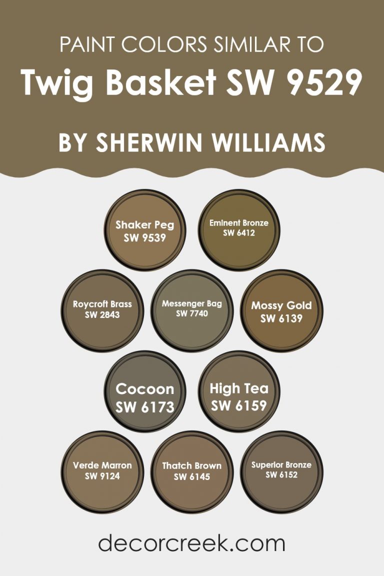 Twig Basket SW 9529 Paint Color by Sherwin Williams - DecorCreek