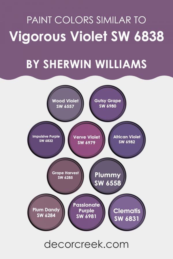 Vigorous Violet SW 6838 Paint Color by Sherwin Williams - DecorCreek