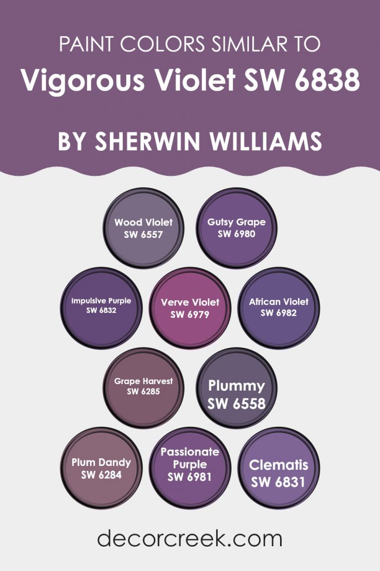 Vigorous Violet SW 6838 Paint Color by Sherwin Williams - DecorCreek