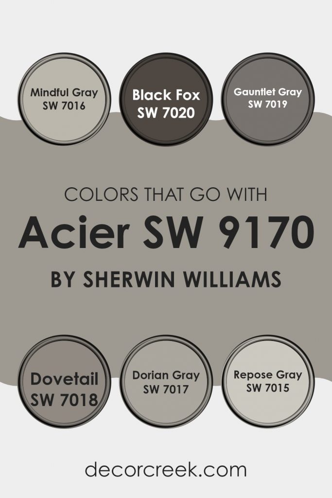 Acier SW 9170 Paint Color by Sherwin Williams - DecorCreek