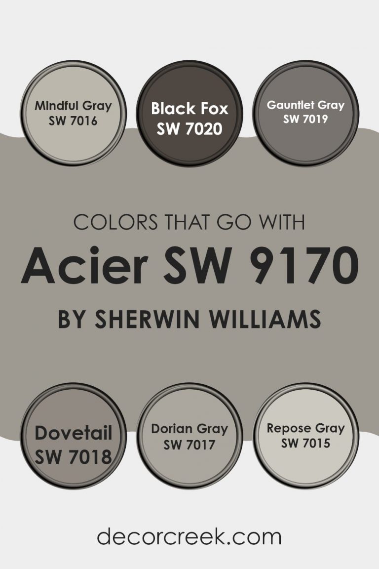 Acier SW 9170 Paint Color by Sherwin Williams - DecorCreek