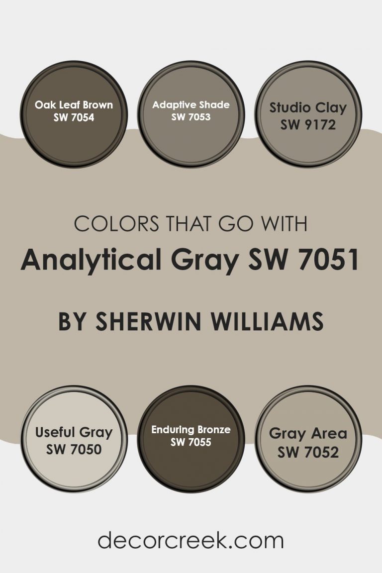Analytical Gray SW 7051 Paint Color by Sherwin Williams - DecorCreek