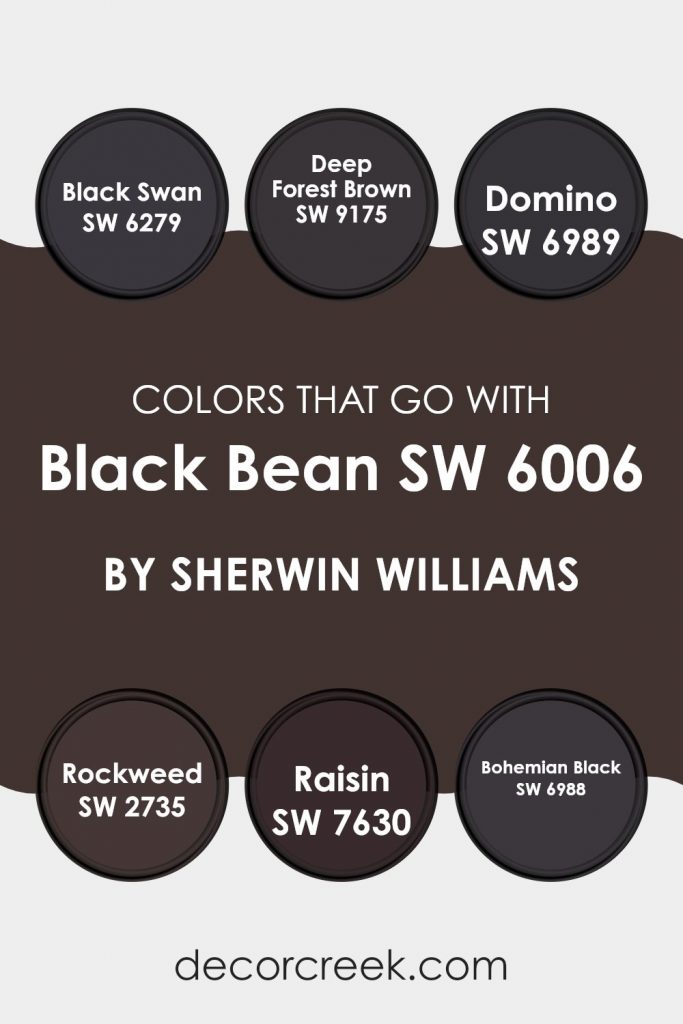 Black Bean SW 6006 Paint Color by Sherwin Williams - DecorCreek