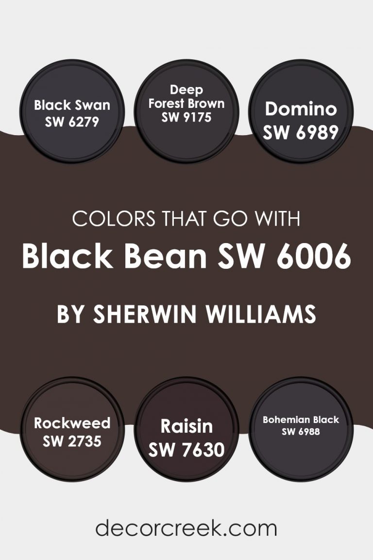 Black Bean SW 6006 Paint Color by Sherwin Williams - DecorCreek