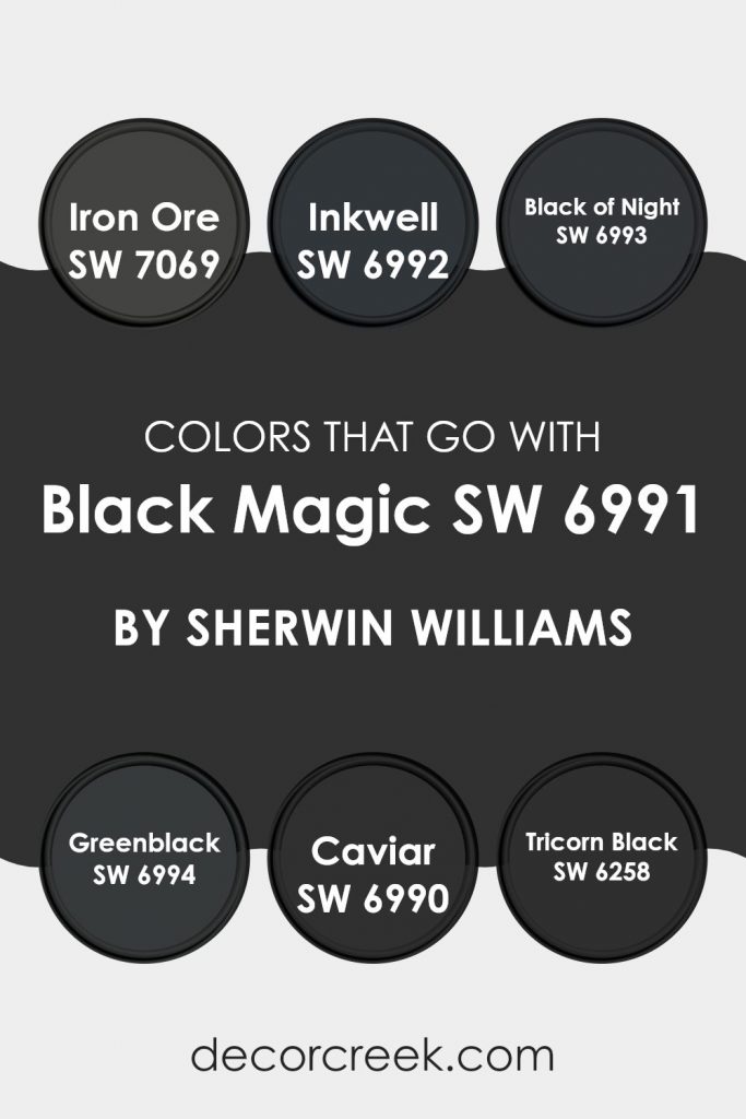 Black Magic SW 6991 Paint Color by Sherwin Williams - DecorCreek