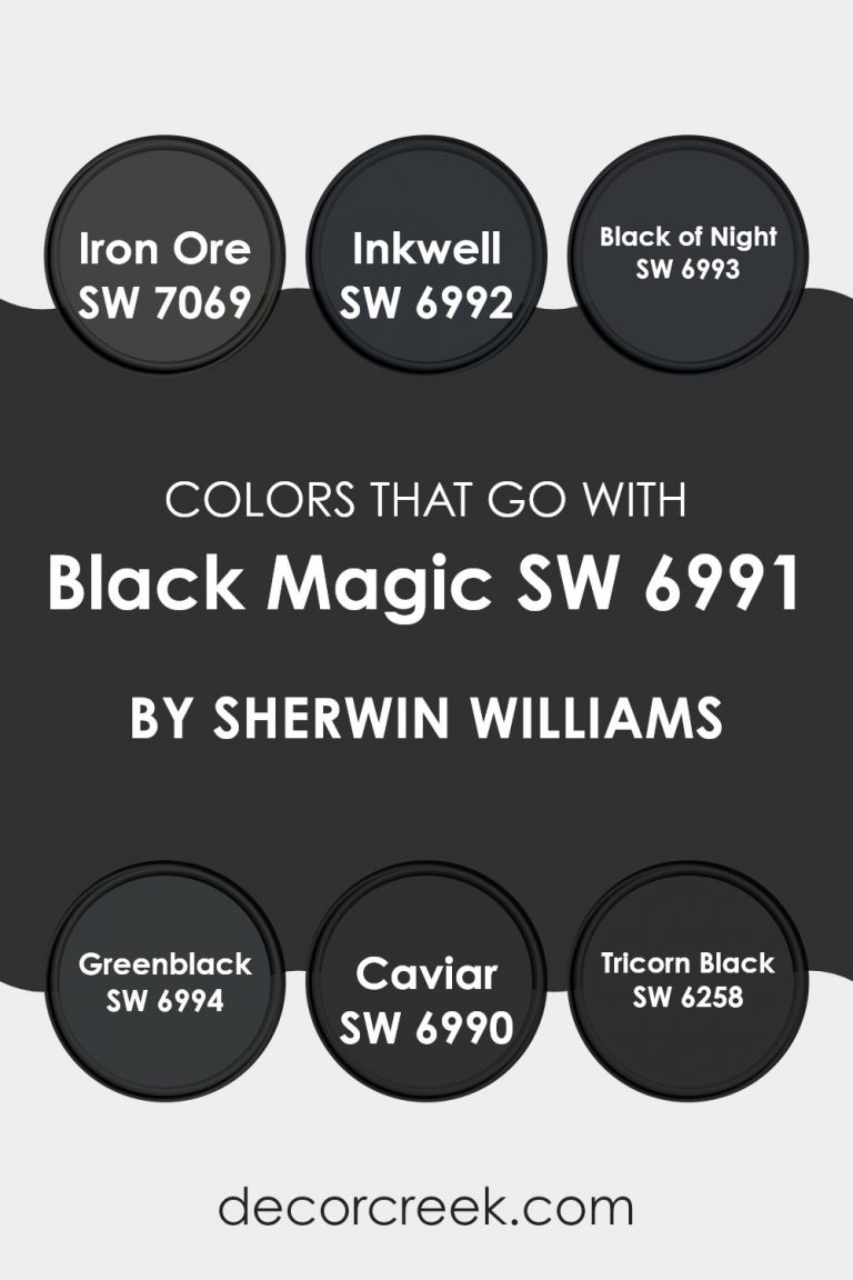 Black Magic SW 6991 Paint Color by Sherwin Williams - DecorCreek