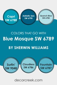 Blue Mosque SW 6789 Paint Color by Sherwin Williams - DecorCreek