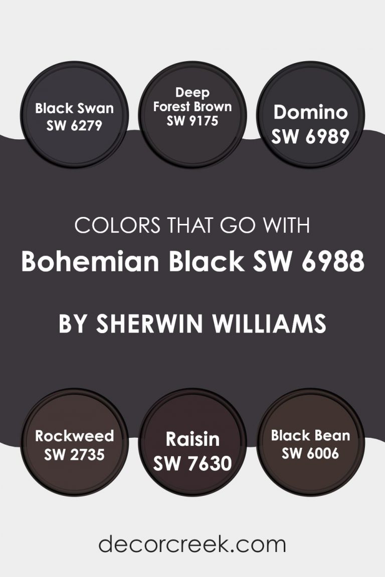 Bohemian Black SW 6988 Paint Color by Sherwin Williams - DecorCreek