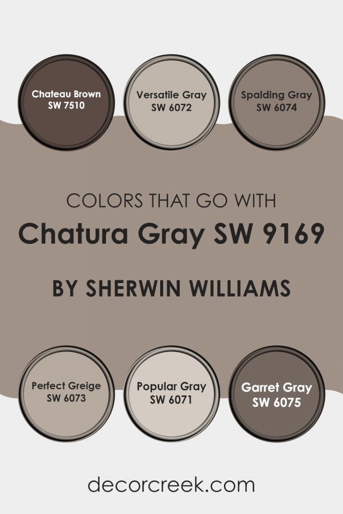 Chatura Gray SW 9169 Paint Color by Sherwin Williams - DecorCreek
