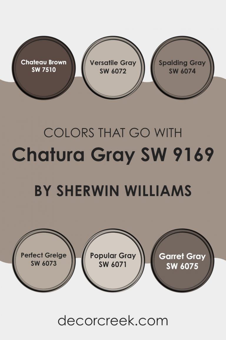 Chatura Gray SW 9169 Paint Color by Sherwin Williams - DecorCreek
