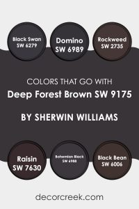 Deep Forest Brown SW 9175 Paint Color by Sherwin Williams - DecorCreek