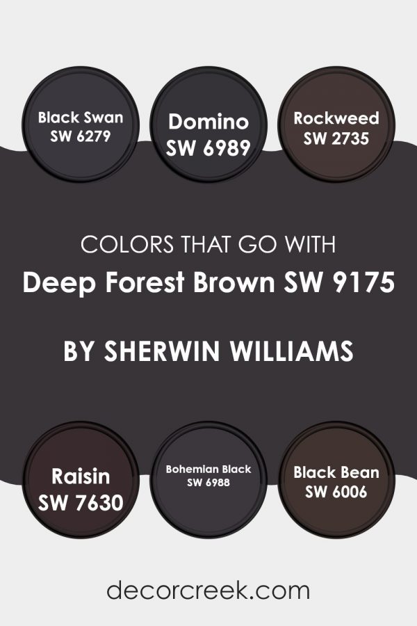 Deep Forest Brown SW 9175 Paint Color by Sherwin Williams - DecorCreek