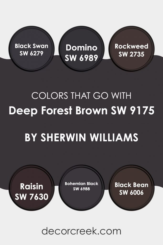 Deep Forest Brown SW 9175 Paint Color by Sherwin Williams - DecorCreek