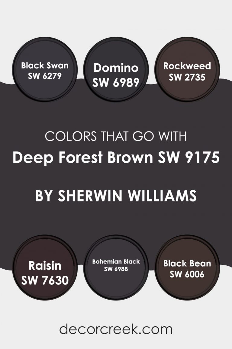 Deep Forest Brown SW 9175 Paint Color by Sherwin Williams - DecorCreek
