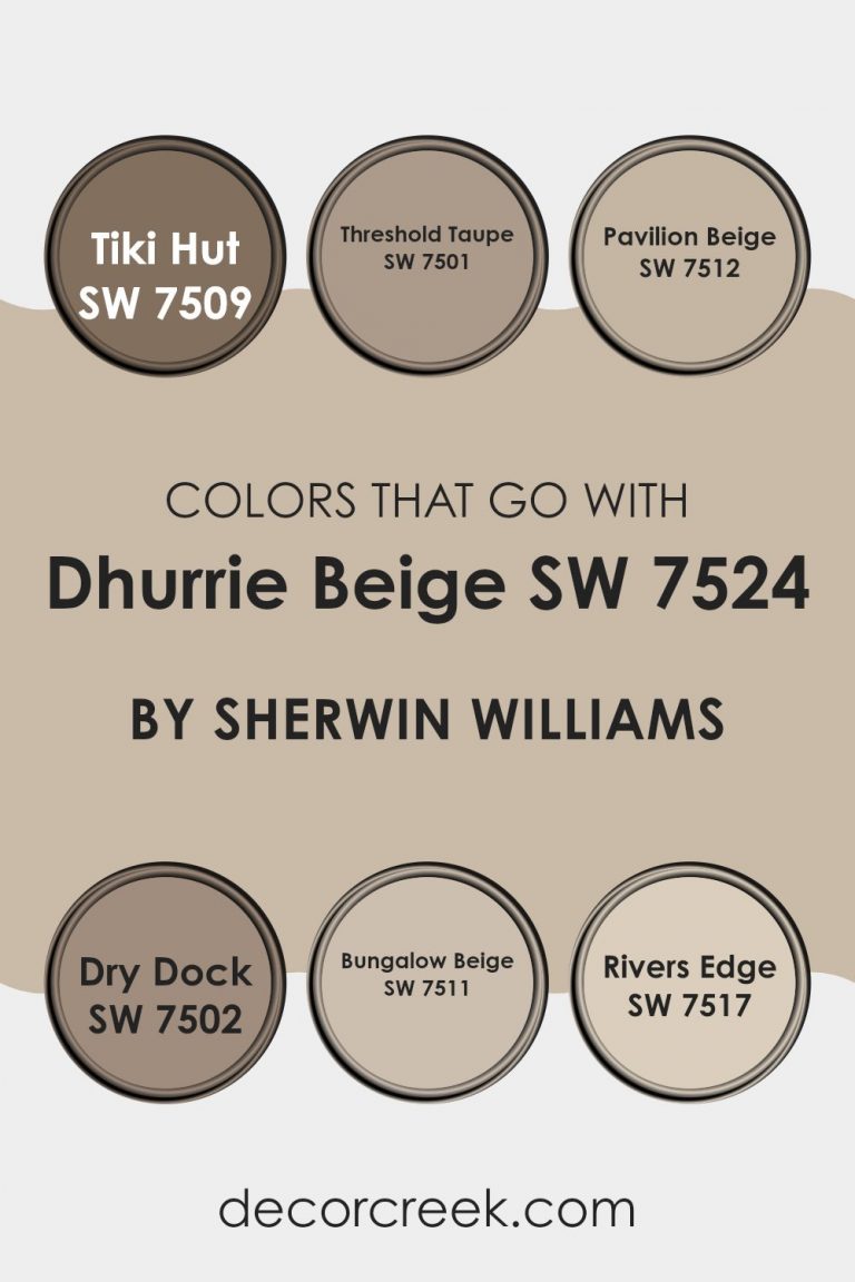 Dhurrie Beige SW 7524 Paint Color by Sherwin Williams - DecorCreek