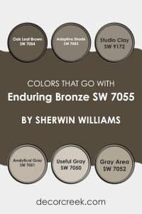 Enduring Bronze SW 7055 Paint Color by Sherwin Williams - DecorCreek