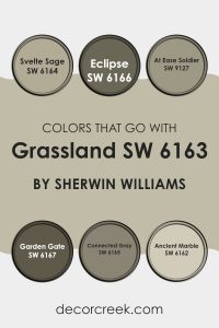 Grassland SW 6163 Paint Color by Sherwin Williams - DecorCreek