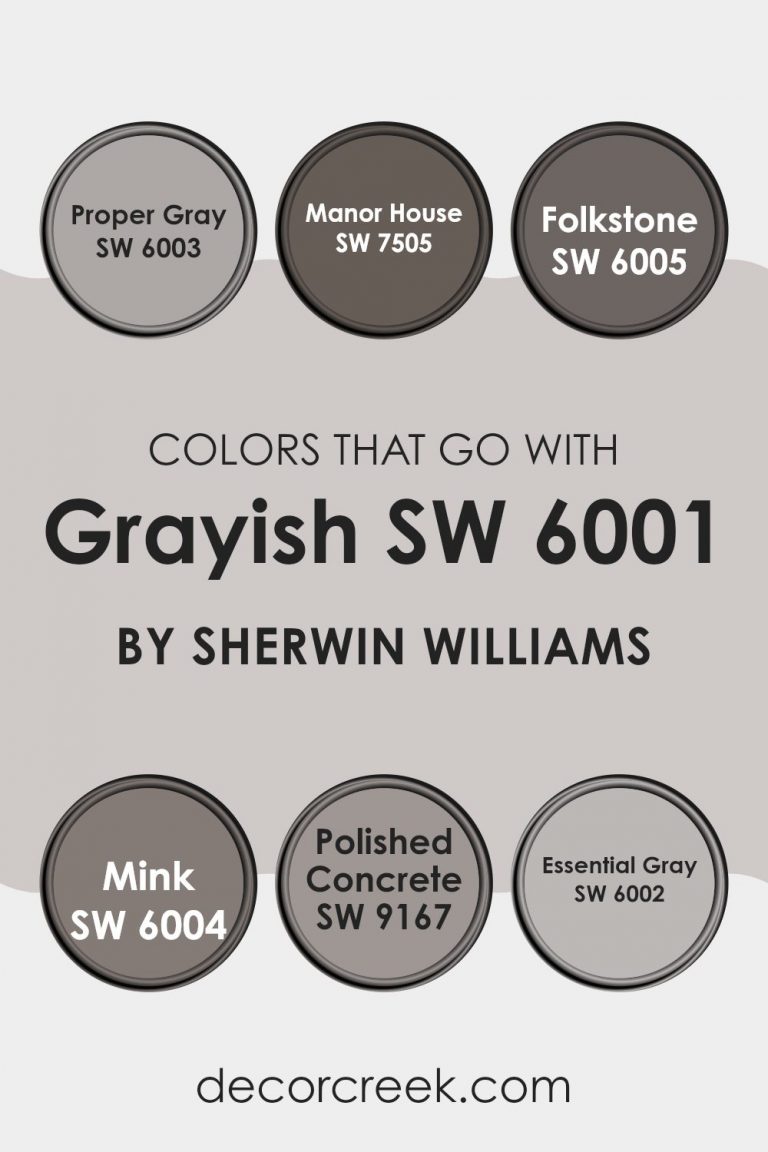 Grayish SW 6001 Paint Color by Sherwin Williams - DecorCreek
