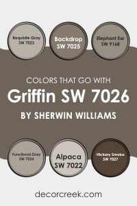 Griffin SW 7026 Paint Color by Sherwin Williams - DecorCreek