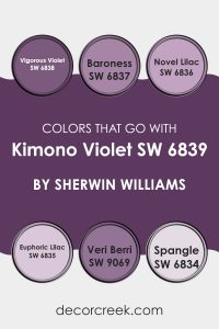 Kimono Violet SW 6839 Paint Color by Sherwin Williams - DecorCreek