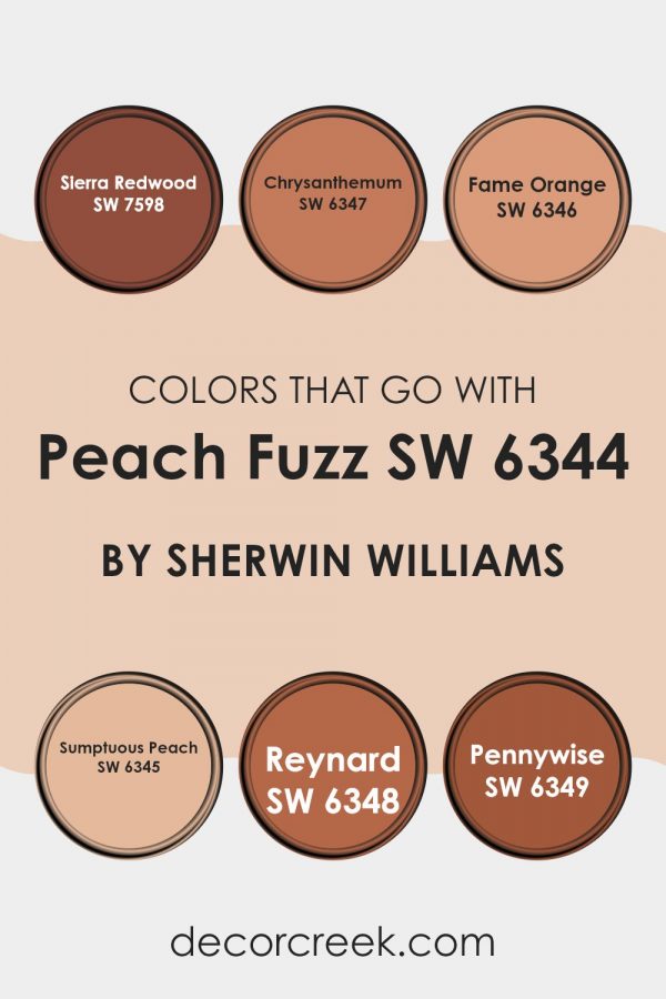 Peach Fuzz SW 6344 Paint Color by Sherwin Williams - DecorCreek