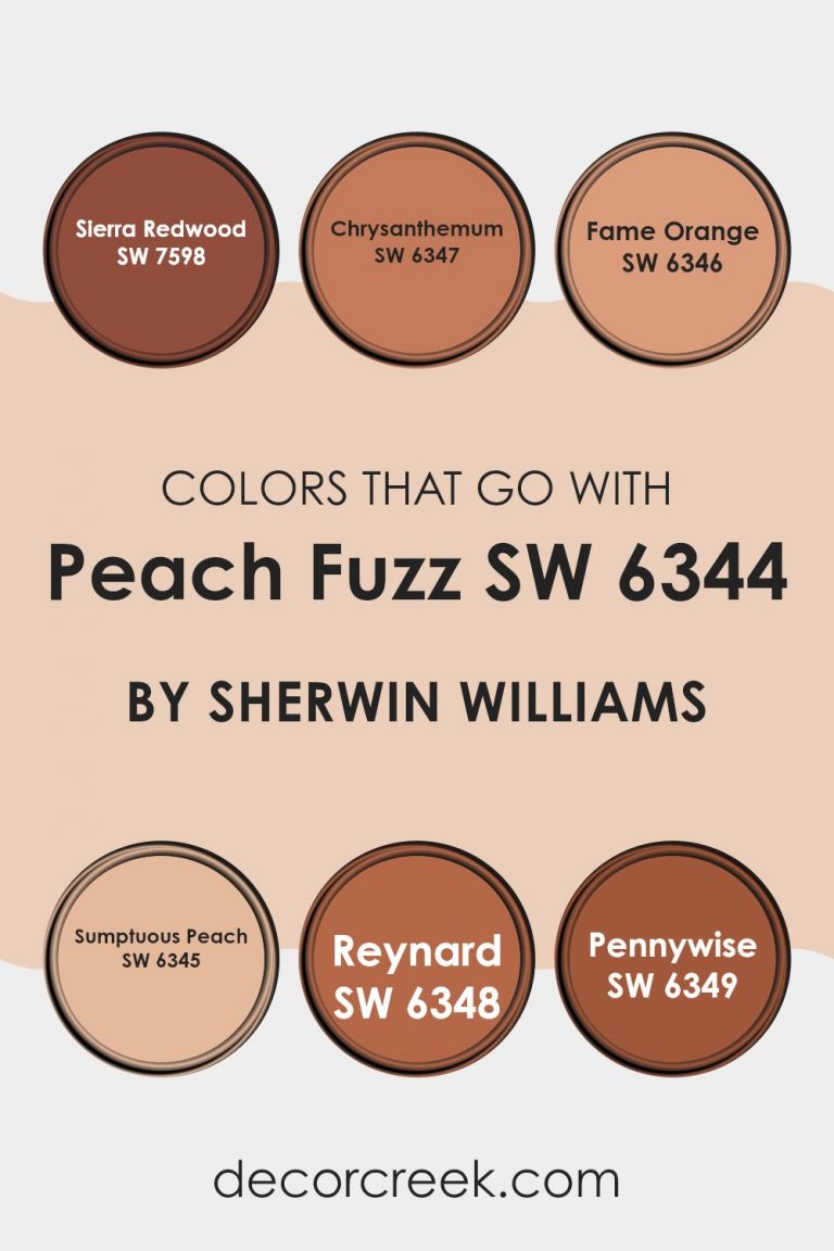 Peach Fuzz SW 6344 Paint Color by Sherwin Williams - DecorCreek