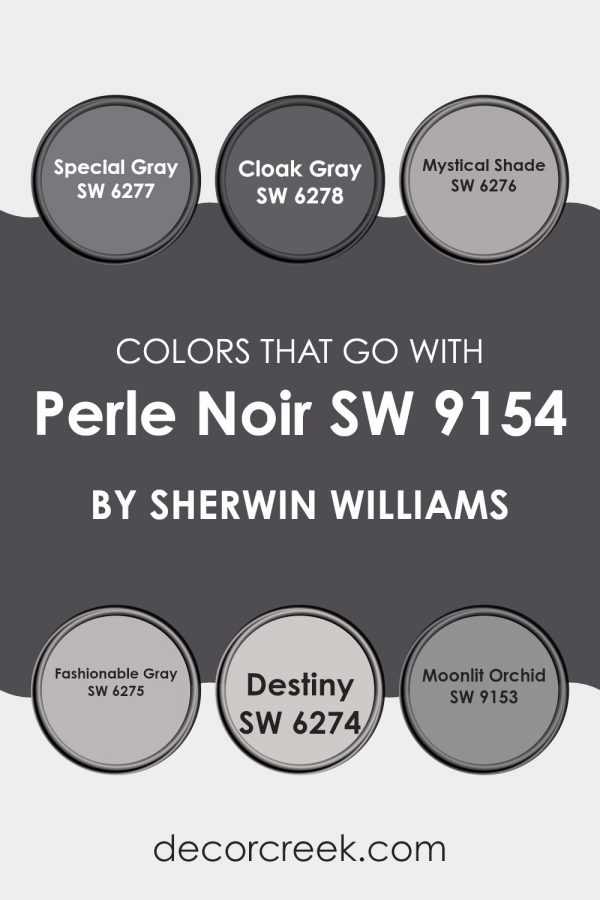 Perle Noir SW 9154 Paint Color by Sherwin Williams - DecorCreek