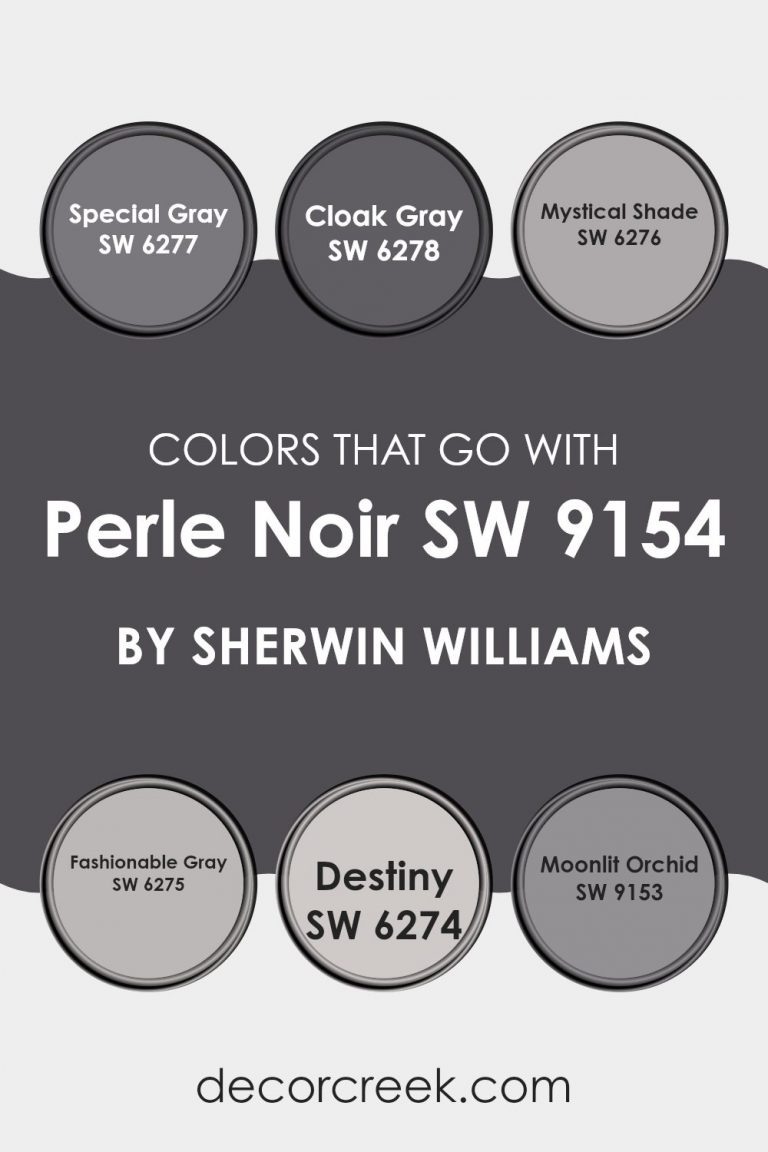 Perle Noir SW 9154 Paint Color by Sherwin Williams - DecorCreek