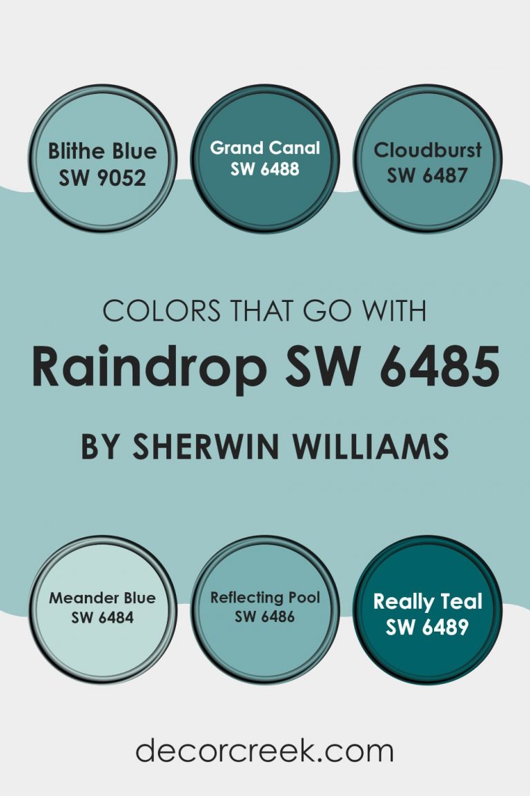 Raindrop SW 6485 Paint Color by Sherwin Williams - DecorCreek