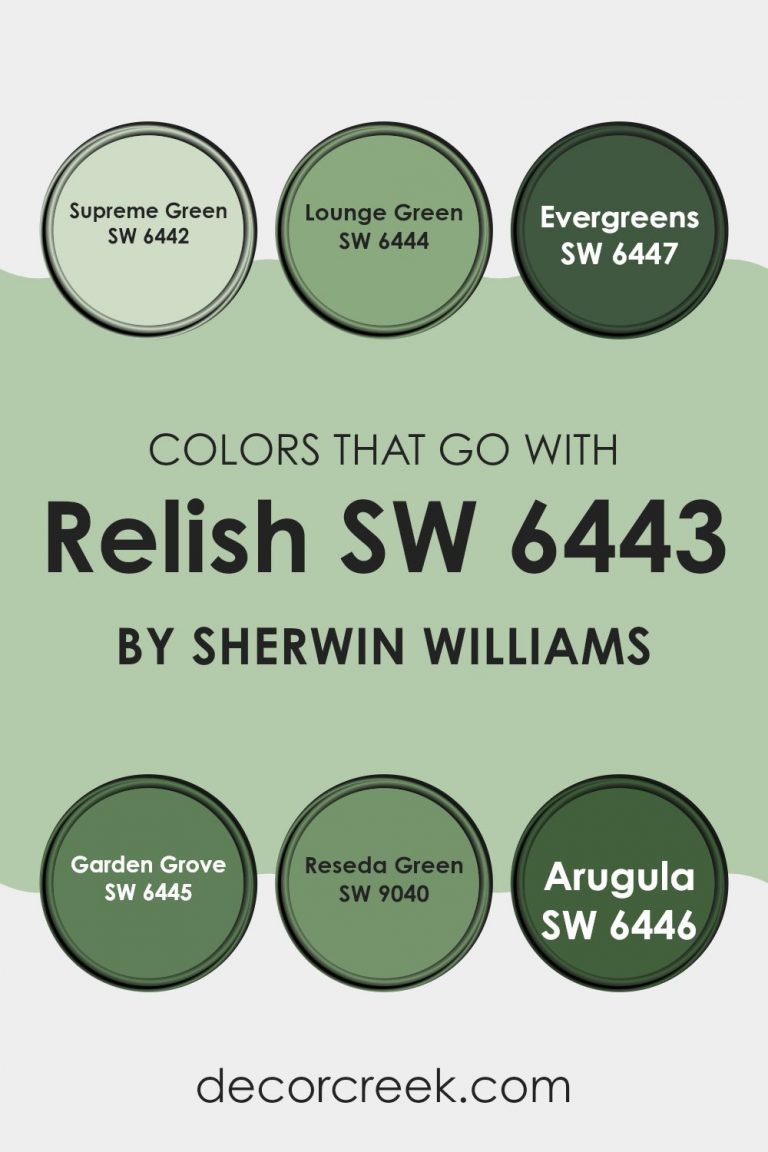 Relish SW 6443 Paint Color by Sherwin Williams - DecorCreek