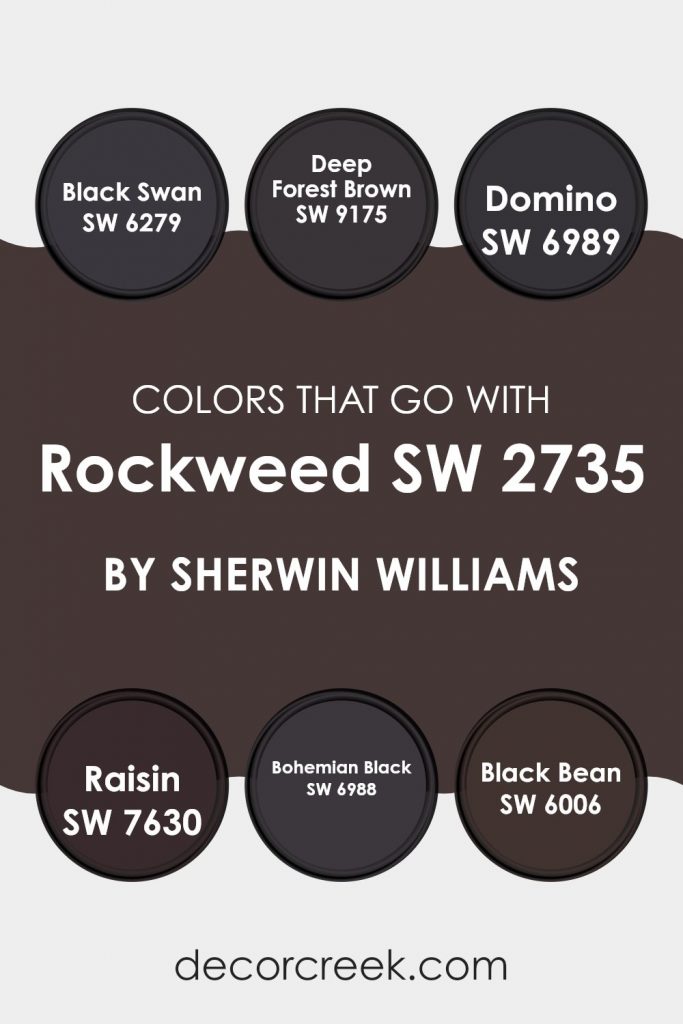 Rockweed SW 2735 Paint Color by Sherwin Williams - DecorCreek