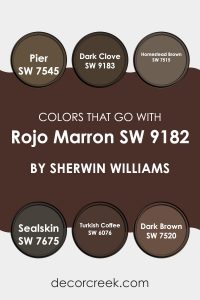 Rojo Marron SW 9182 Paint Color by Sherwin Williams - DecorCreek